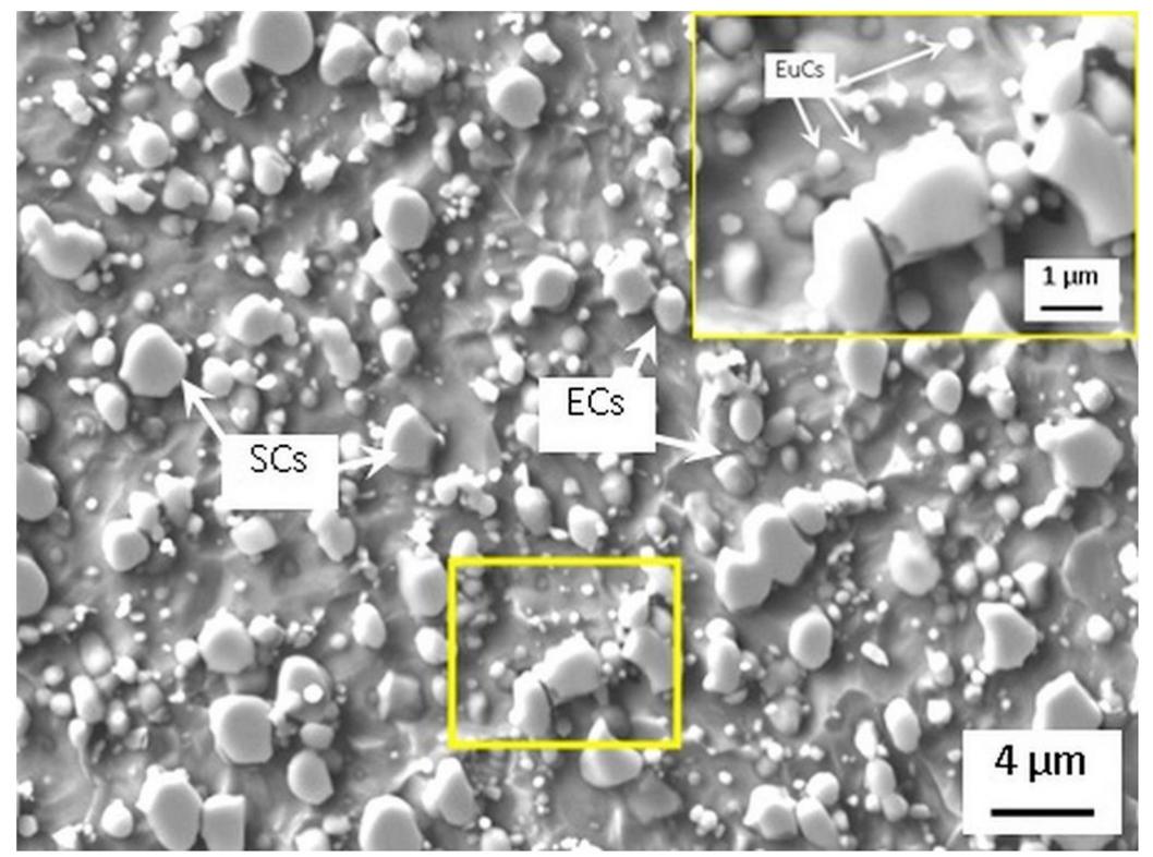 Sem micrograph showing microstructure of the experimental