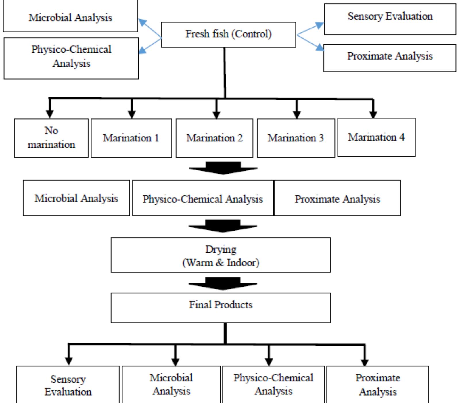 Flowchart demonstrating the blue whiting production process