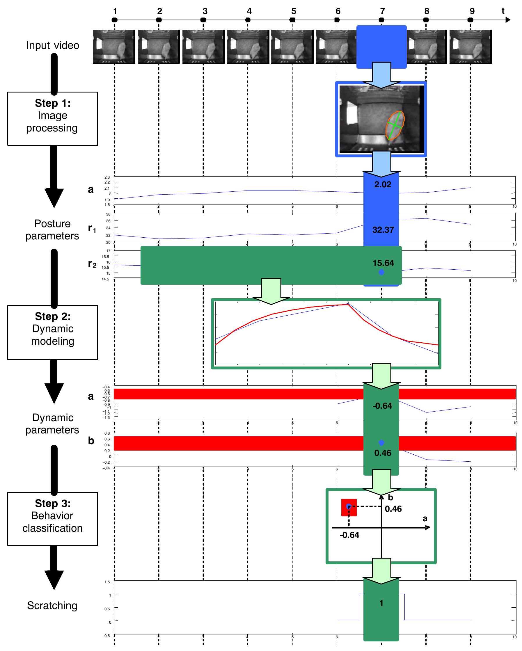 Schematic flowchart of the different steps in the proposed