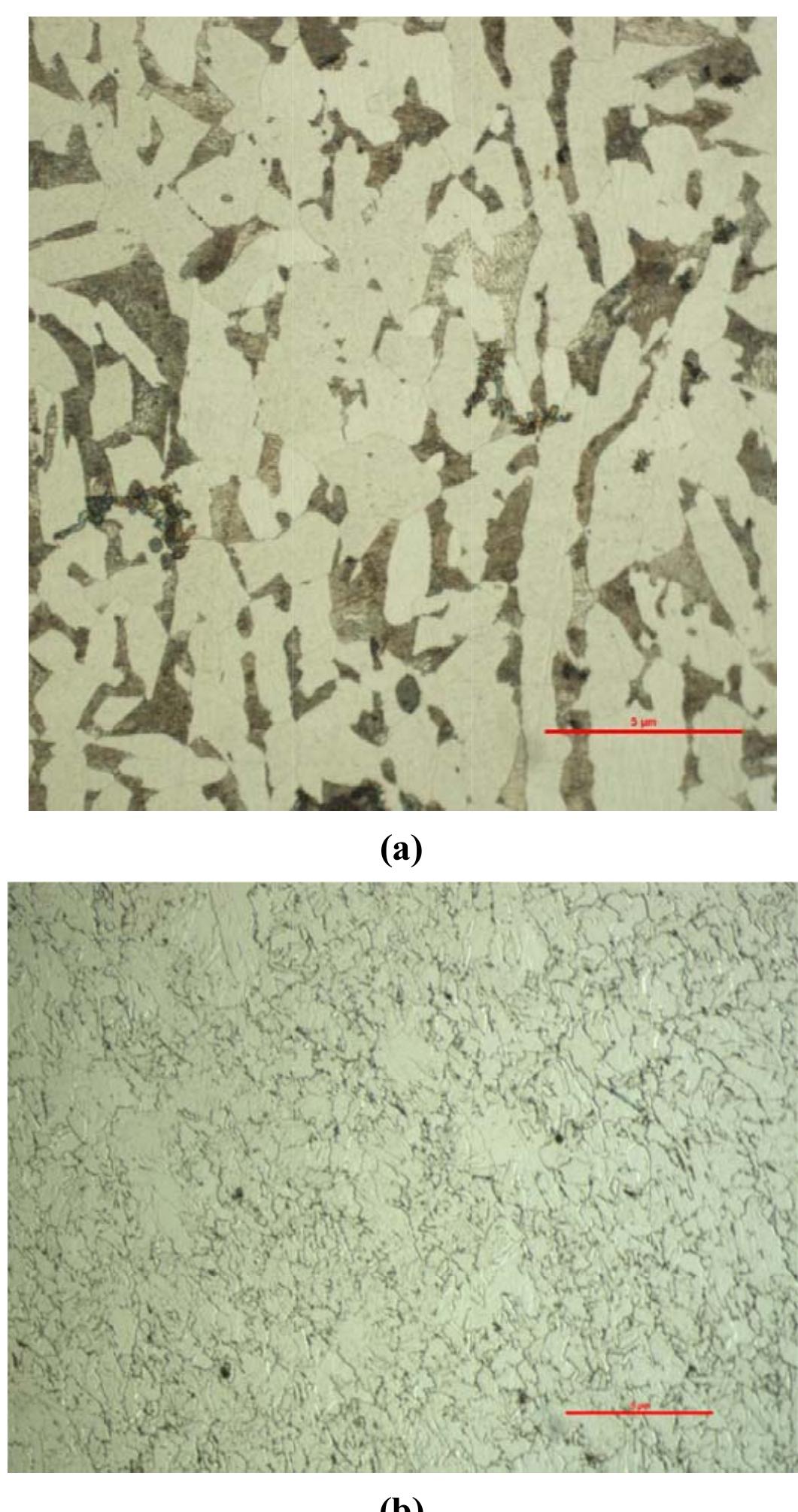 Gure 4-2 (a) ferrite-pearlite microstructure of the vintage