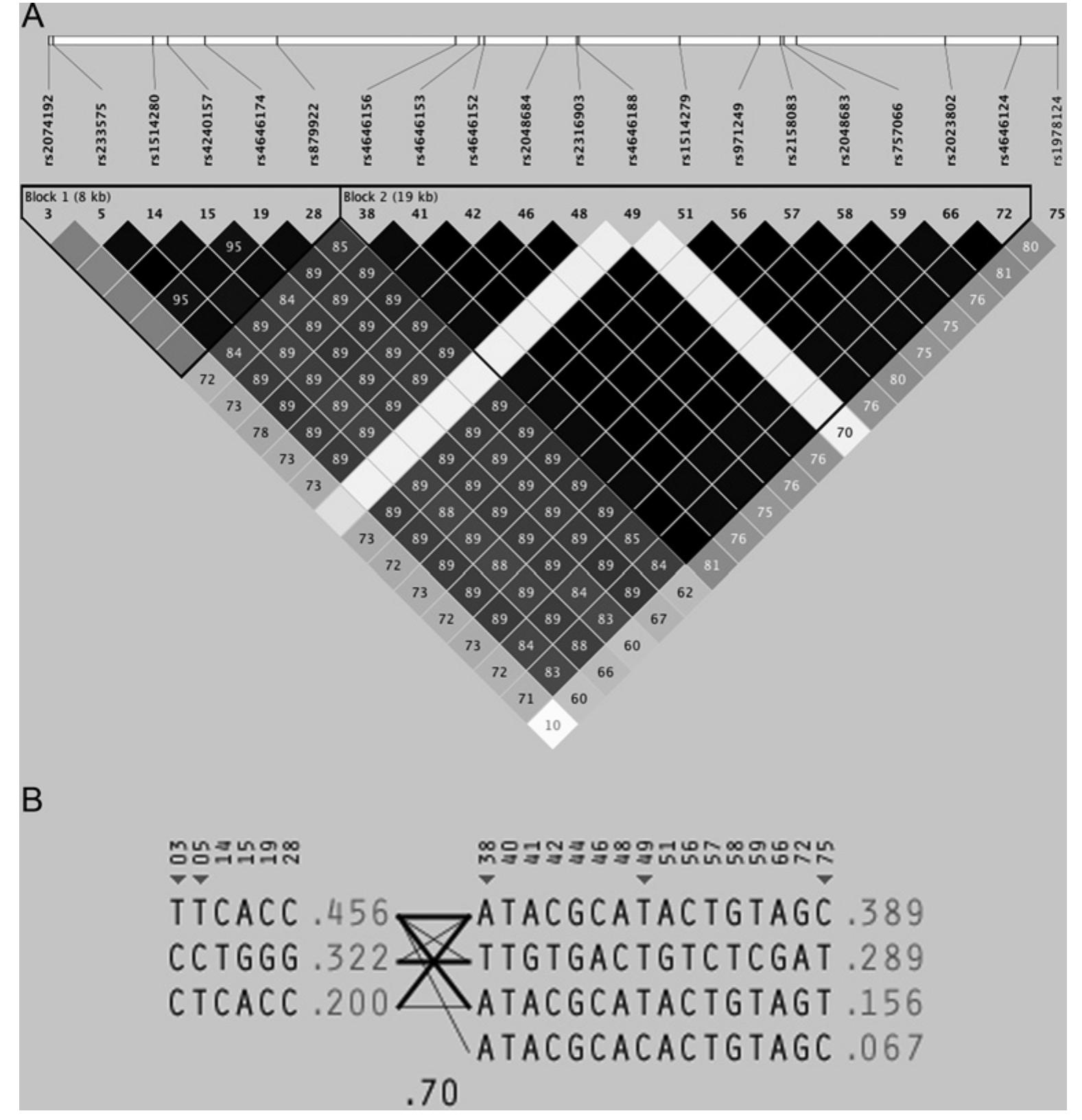 Ace2 gene analysis performed using the haploview software