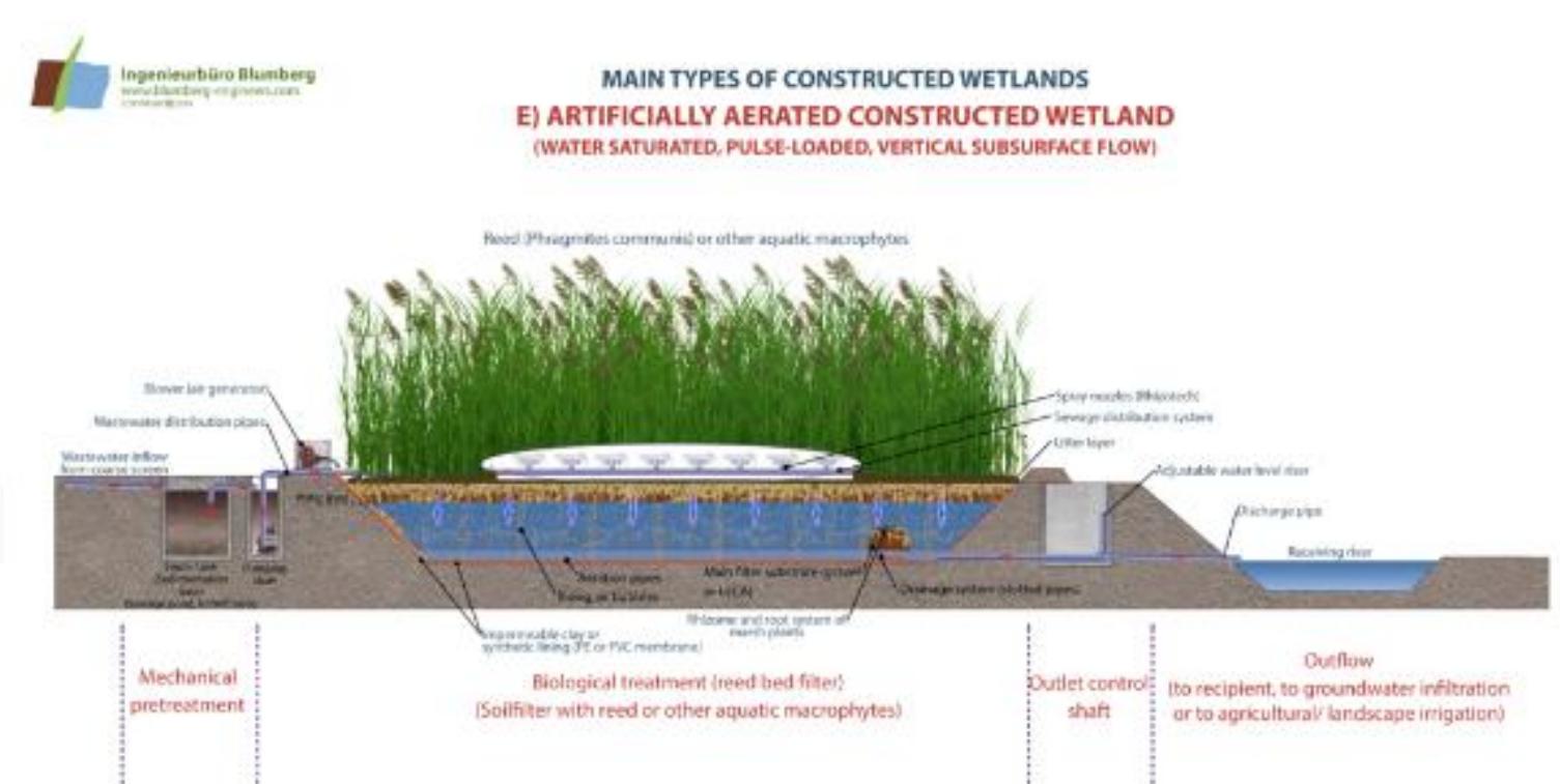 (10): the section of the wetland system source: