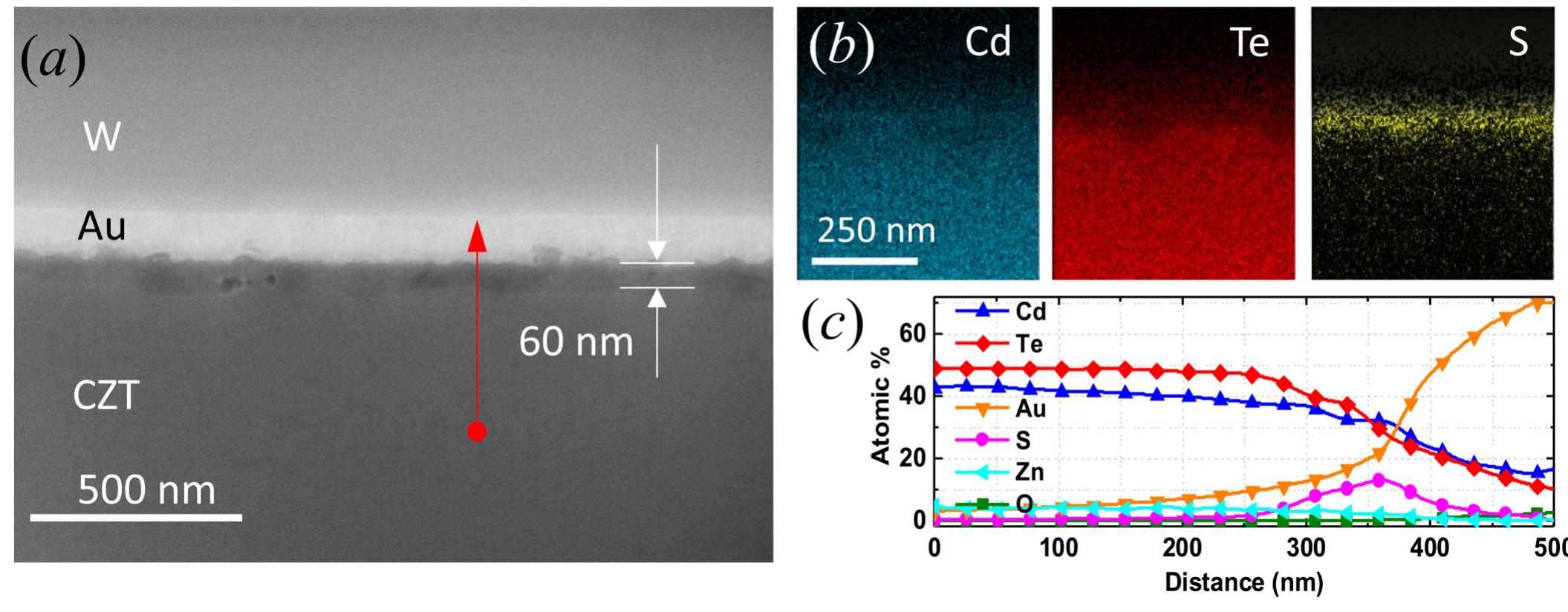 Scanning electron microscope cross sections of the ozone