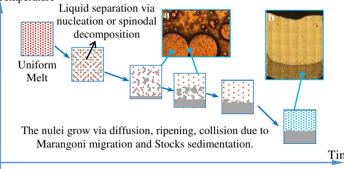 Illustration of solidification process of the