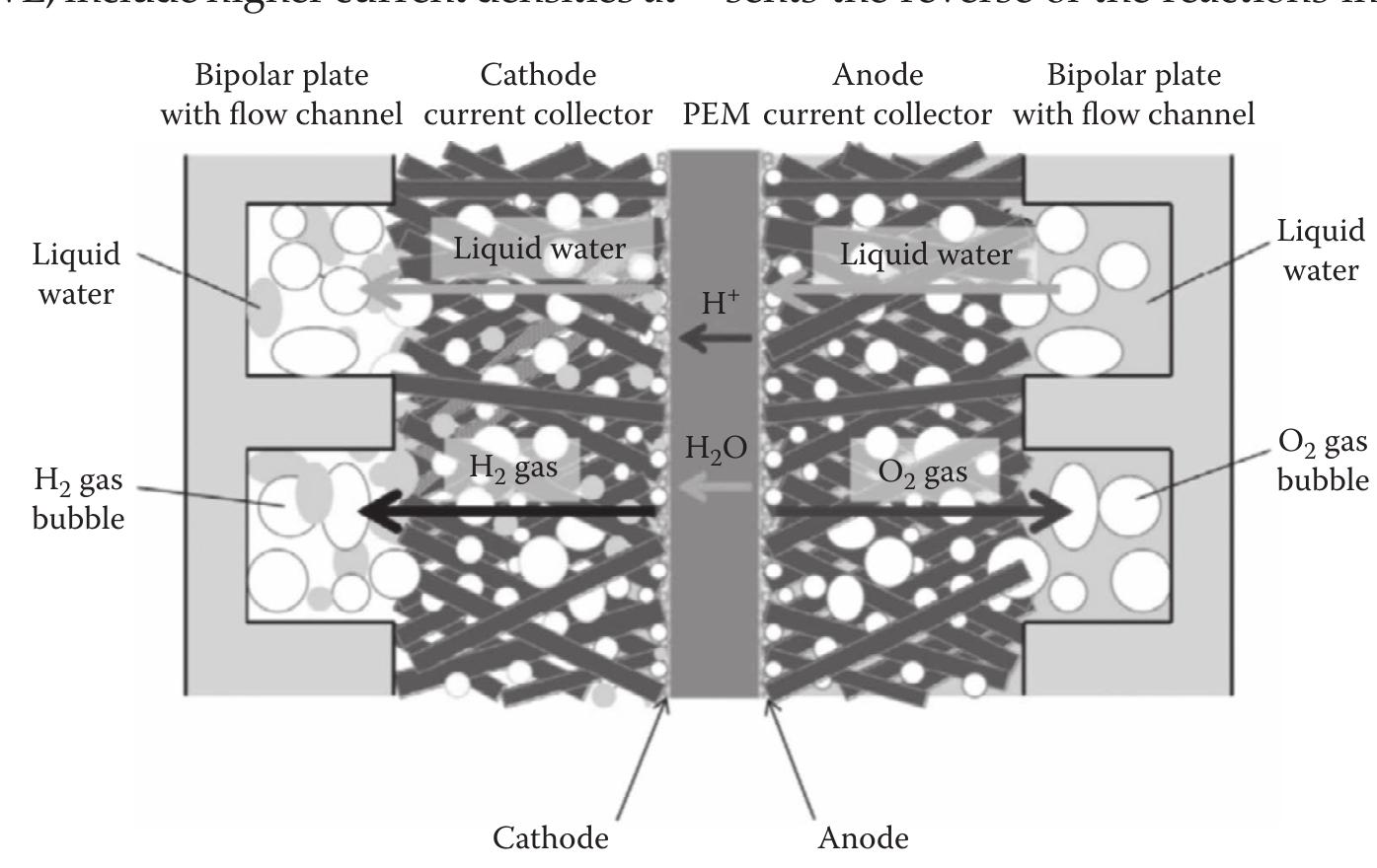 2 schematic of the membrane electrode assembly (mea) in a