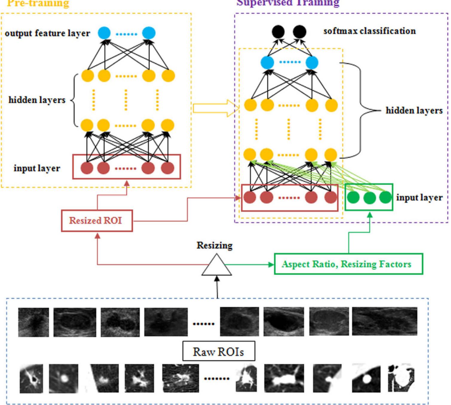 Flow-chart of our deep-learning-based cadx training