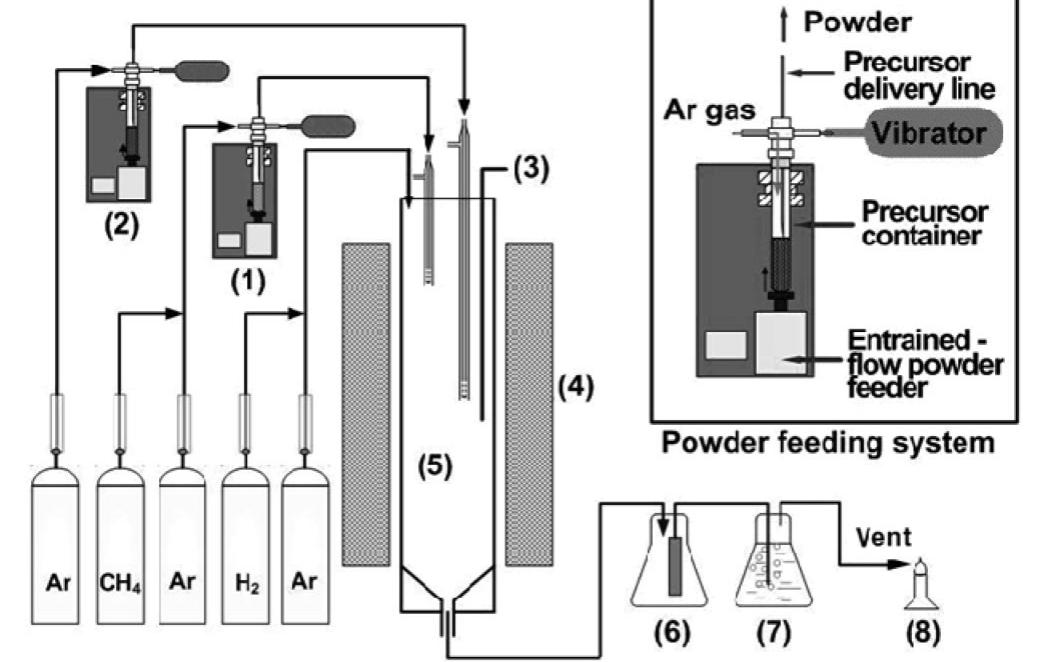 Schematic diagram of the tubular reactor system: (1)