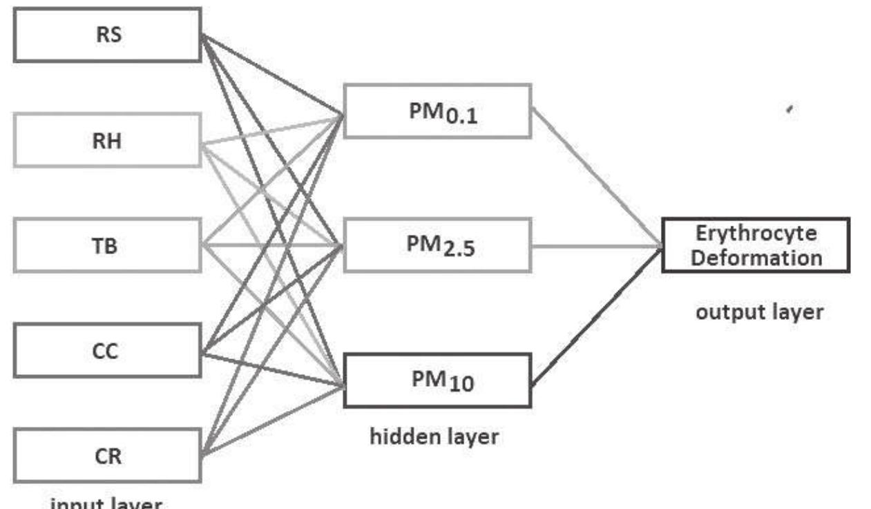 Ann algorithm schematic.