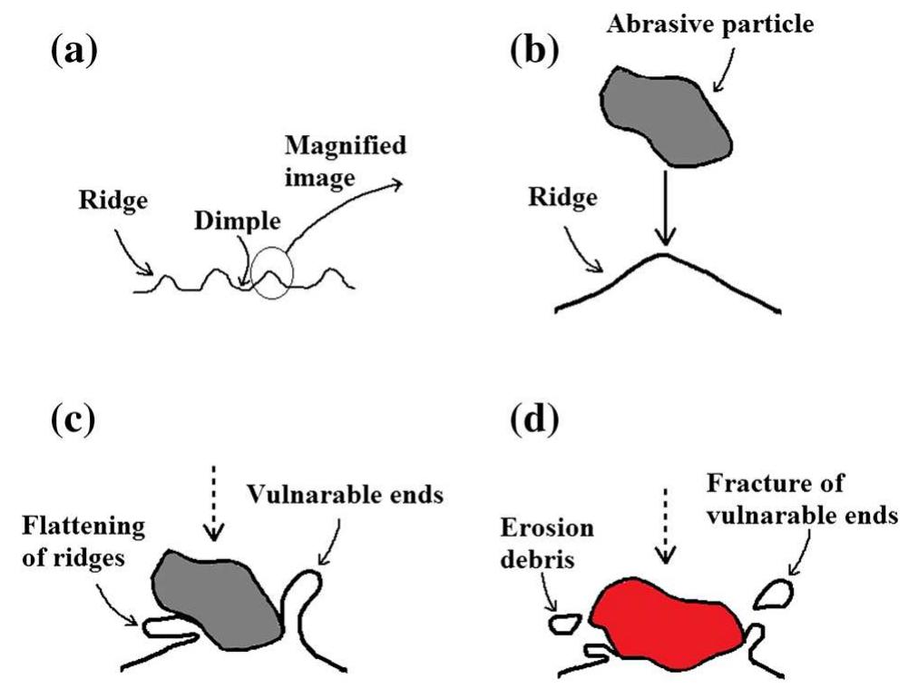 Schematic diagram illustrates the stages of metal removal.