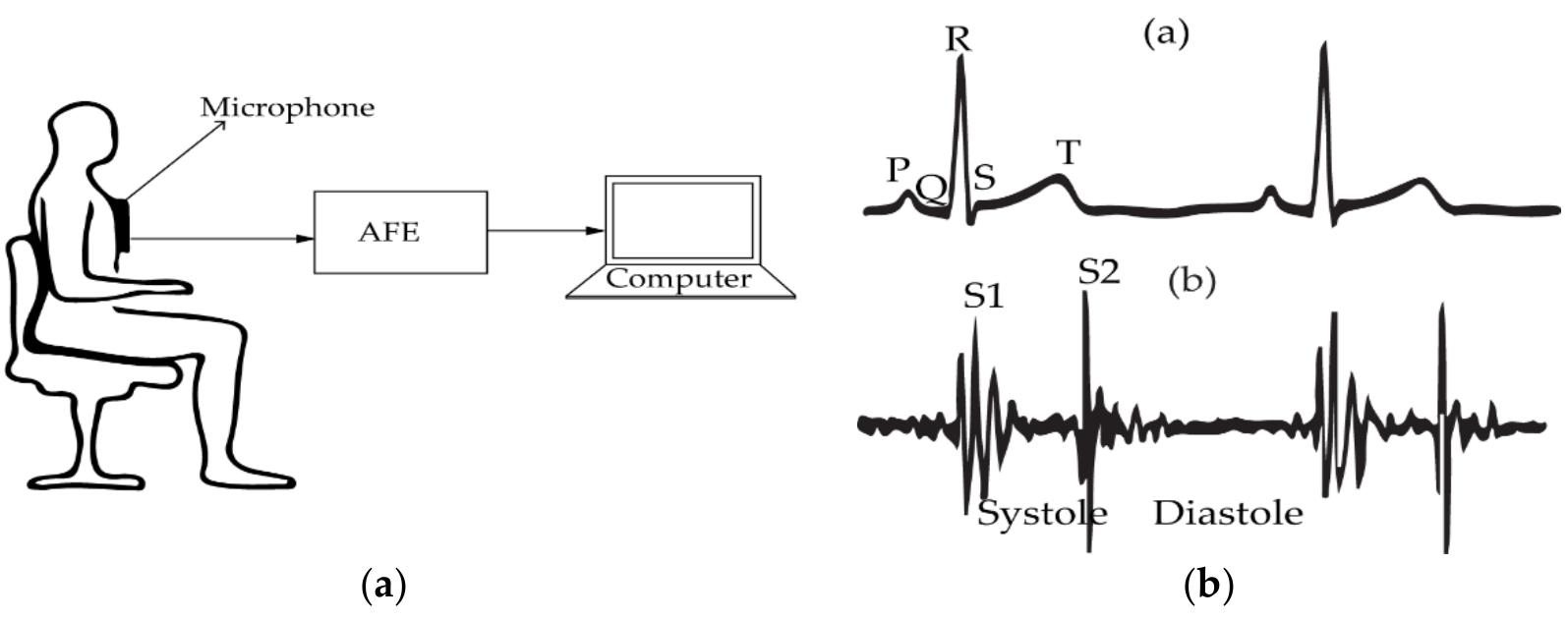 (a) measurement setup of cardiac sound; (b) comparison of