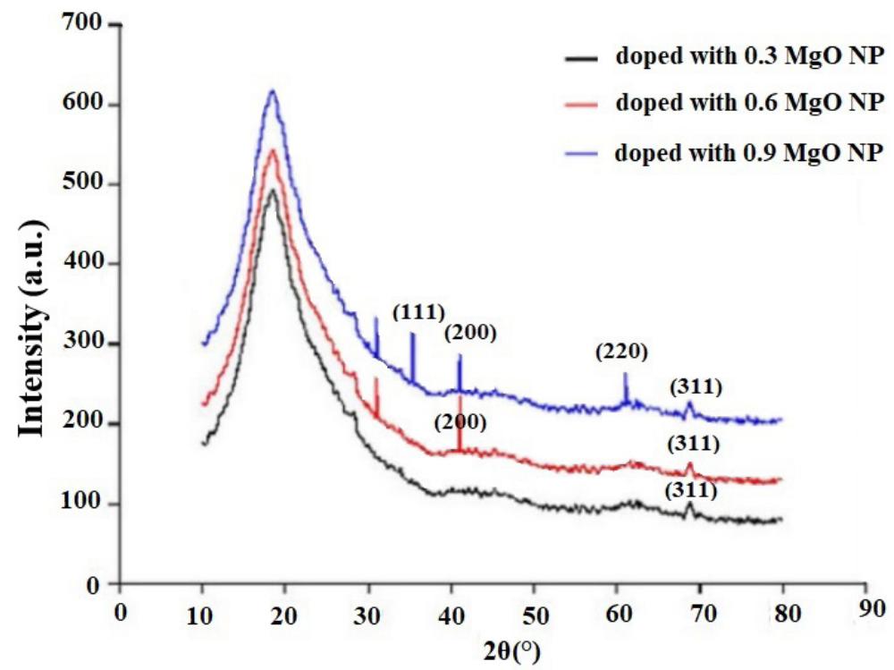 Pore-like structures (nano-porosity) on the membrane sur-
