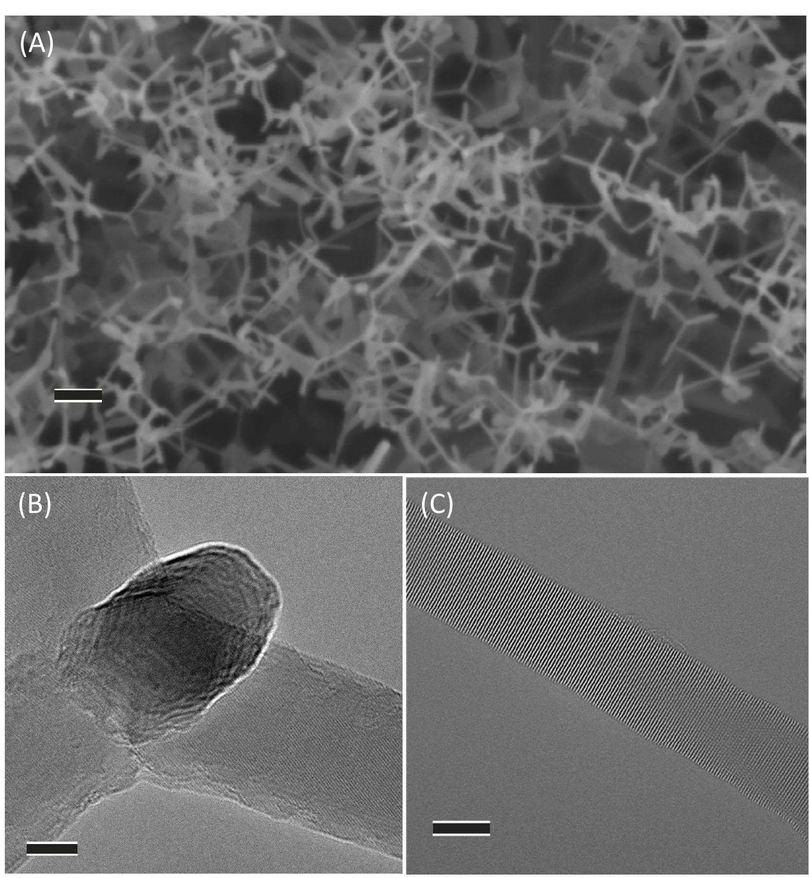 Electron microscopy images of zno-ts: (a) sem, scale bar is