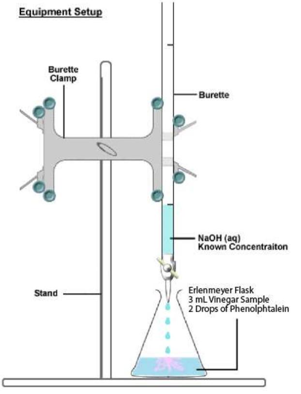 Illustration of the titration setup 41