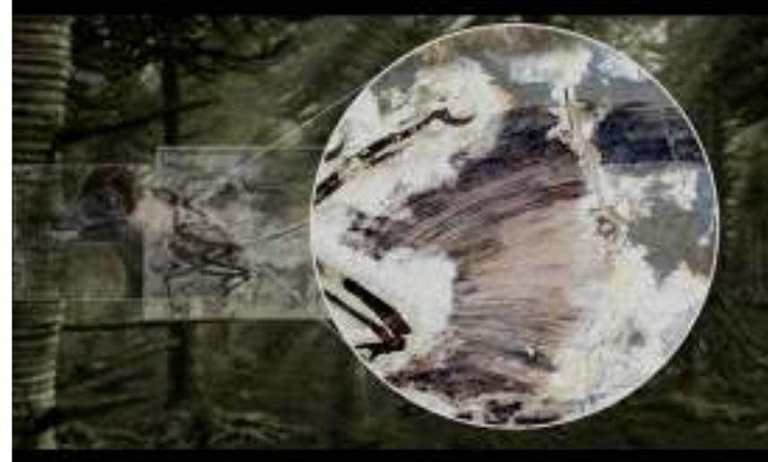 Images, complete with ct scans and molecular analyses of