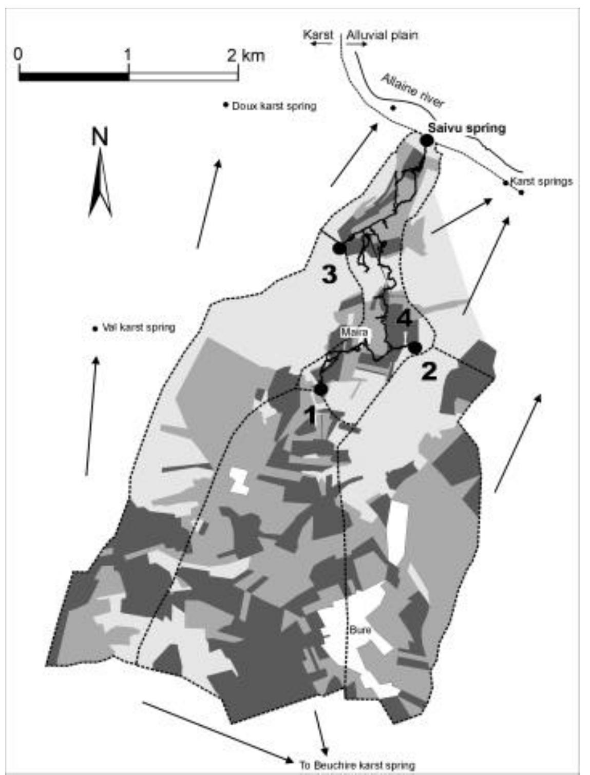 Simplified land use map of the saivu catchment area. pale