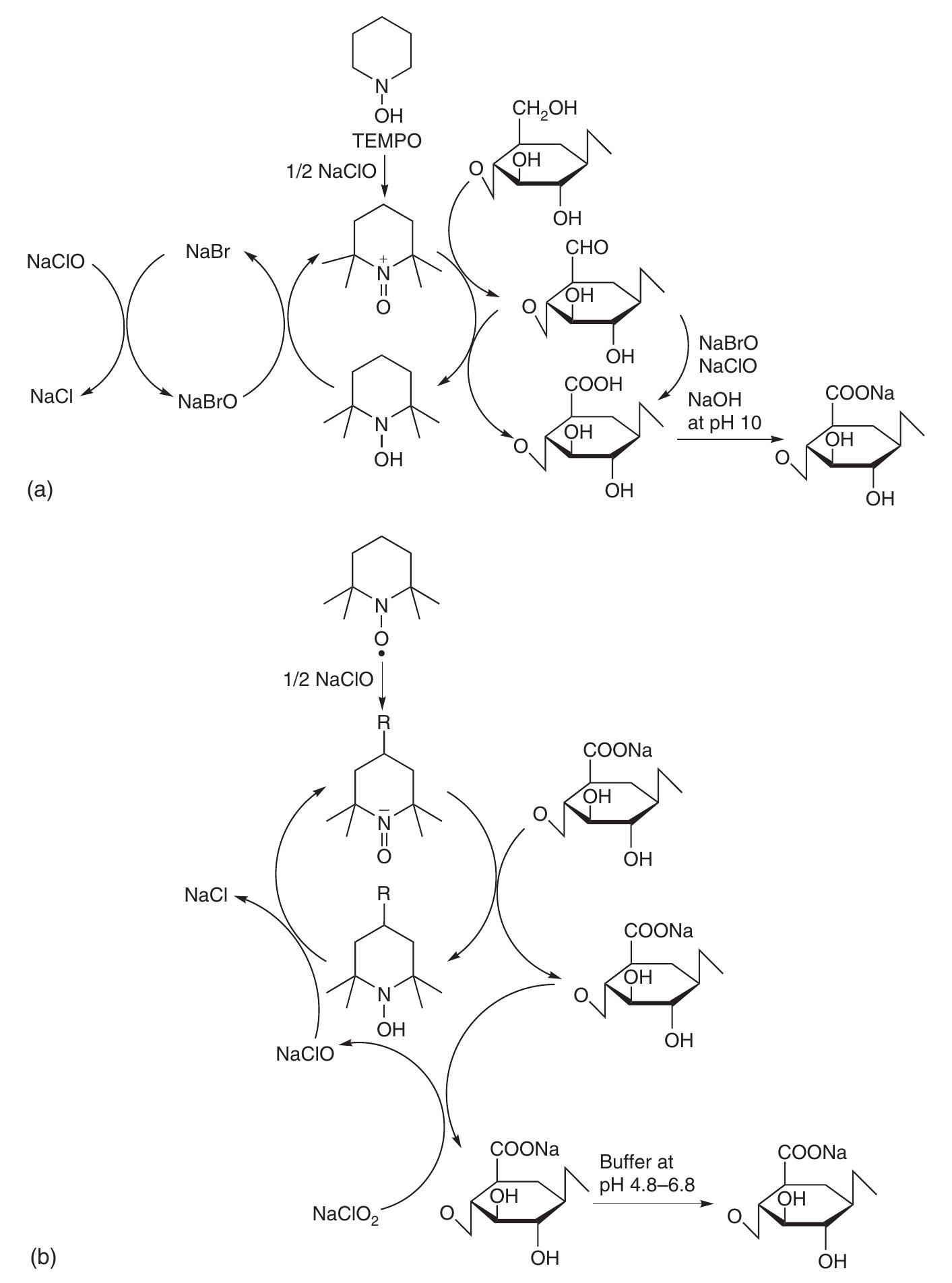 14 tempo-mediated oxidation of cellulose (a) at ph 10-11 and