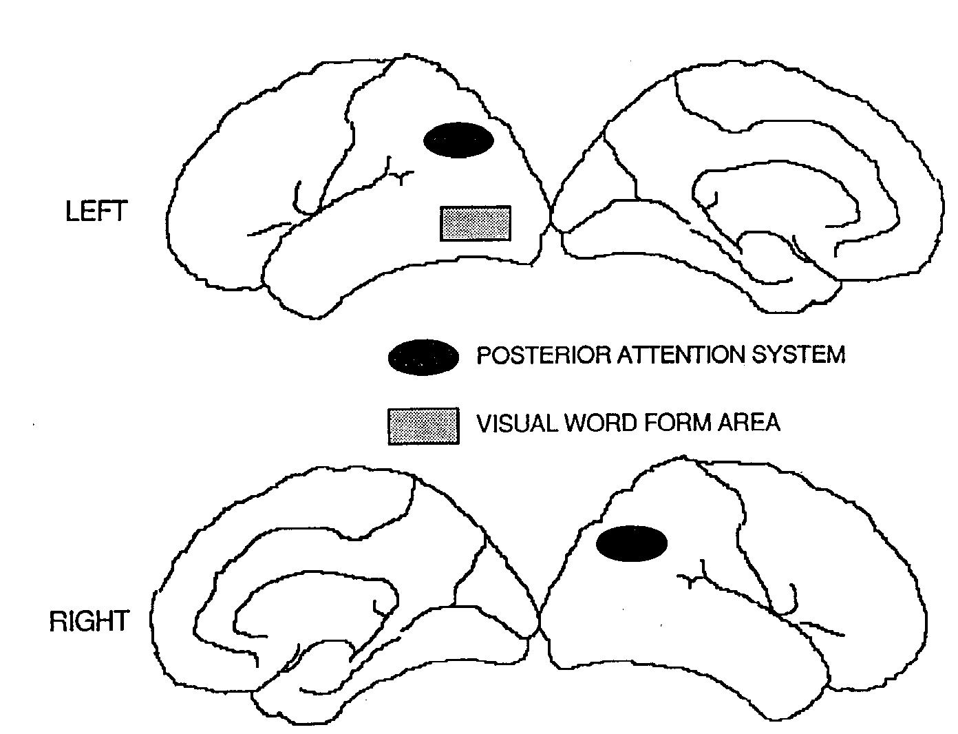 (PDF) The Attention System of the Human Brain