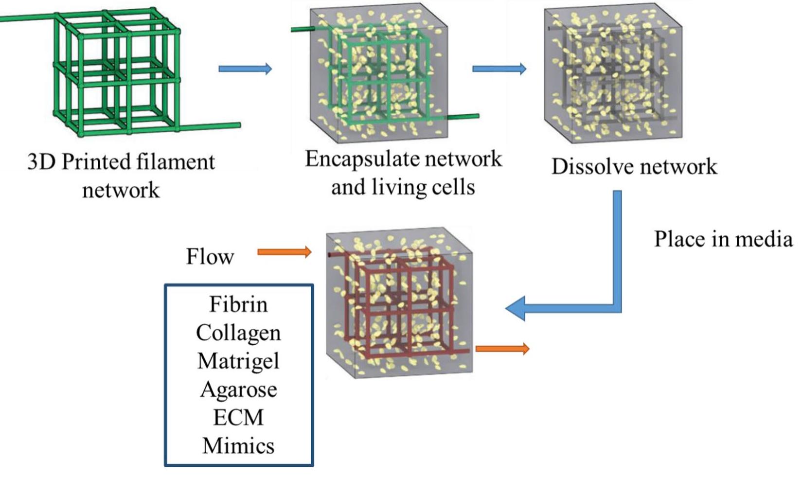 Figure 5 - from 3D Bioprinting: Recent Trends and Challenges