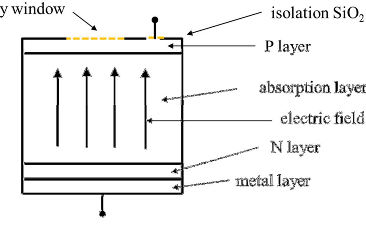 Basic scheme of pin photodiode structure. a typical pin