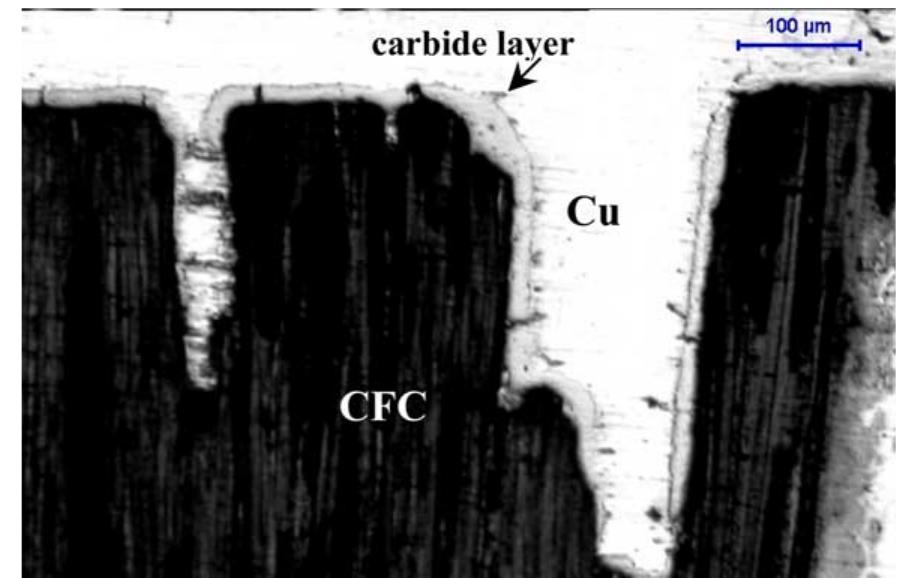Optical micrograph of the cross-section of a cfc ns31