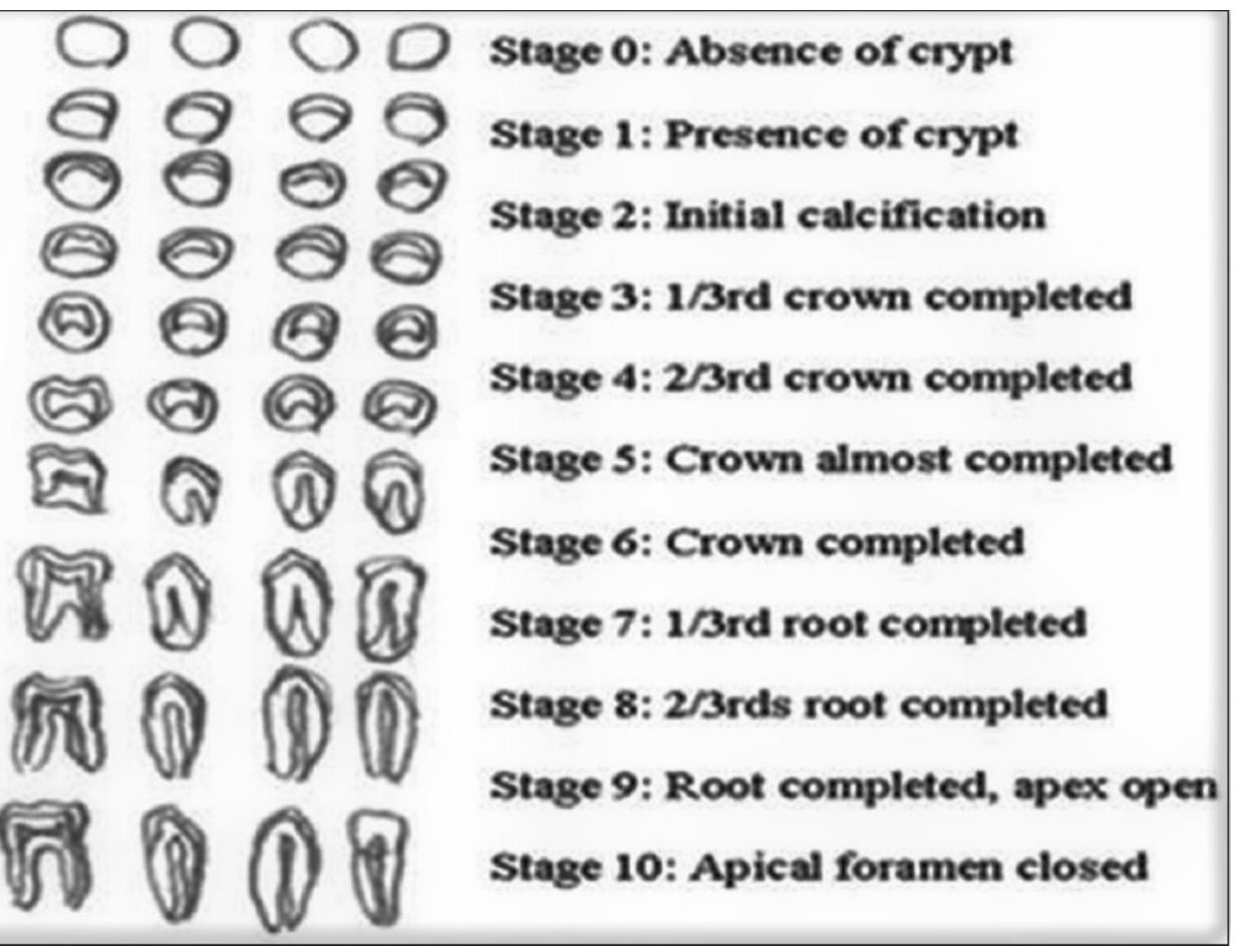 Dental development chart by nolla [52]. in this method,