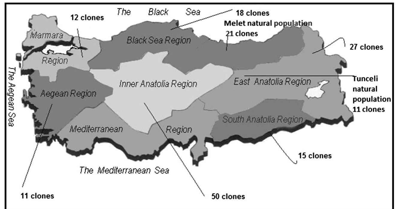 For amplification of microsatellite regions, the pcr condi-