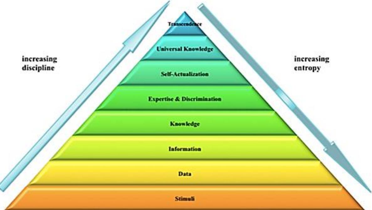 The knowledge pyramid (8 layer model). stimuli (neural
