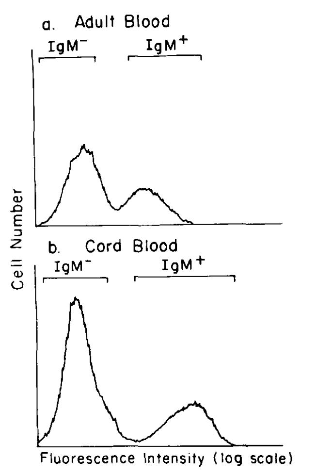 Fluorescence histograms of e™ cells from adult blood (a) and