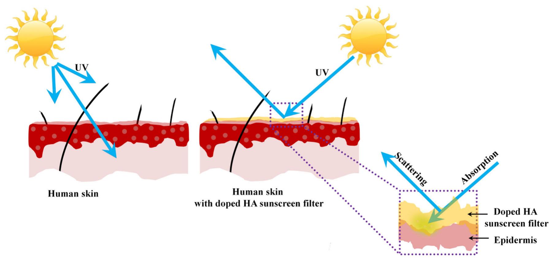Schematic showing uv reflectance and absorption by doped uv