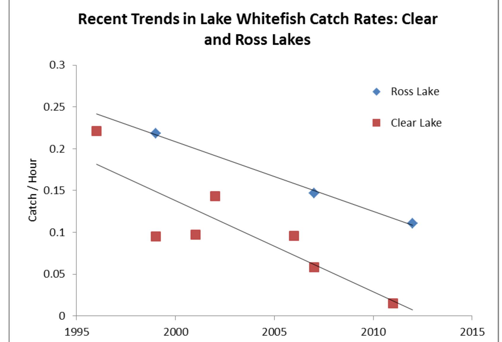 Lake whitefish catch rates from angler creel survey data