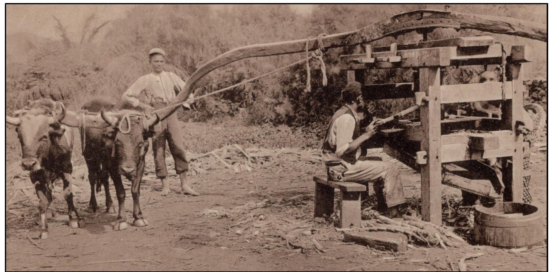 Simple portuguese cattle mill on st vincent, cape verde