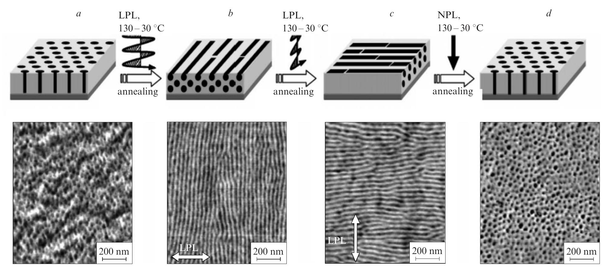 Initial structure of the liquid crystalline block copolymer