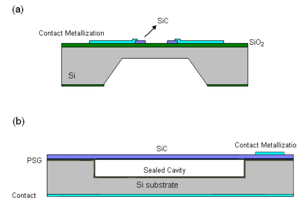 Examples of sic film sensors shown in the literature: (a)