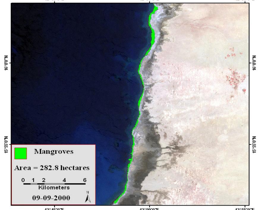 Figure 6 - from Distribution of Mangroves along the Red Sea