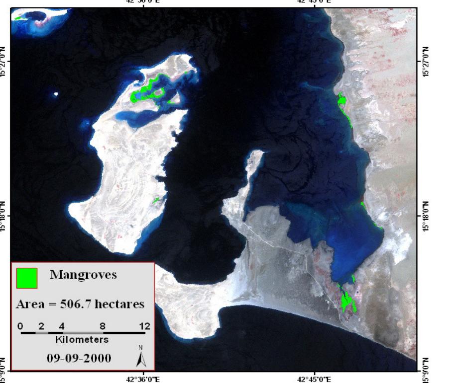 Satellite image of mangroves shown in green color at site