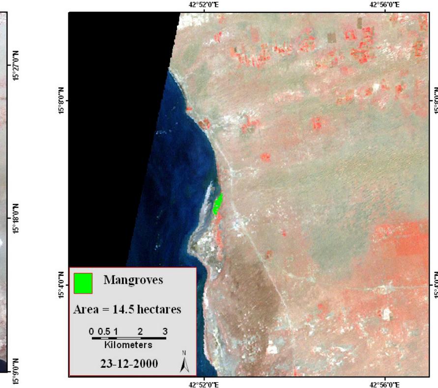 Satellite image of mangroves shown in green color at site