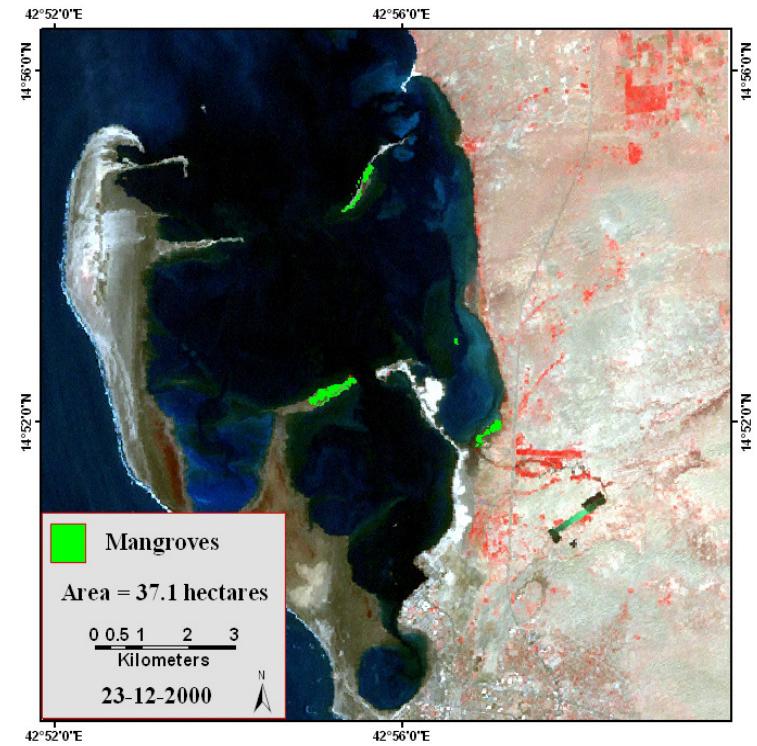 Satellite image of mangroves shown in green color at site