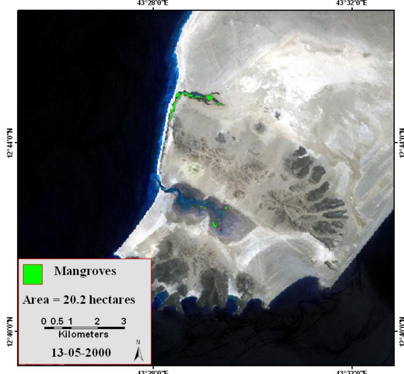 Satellite image of mangroves shown in green color at site