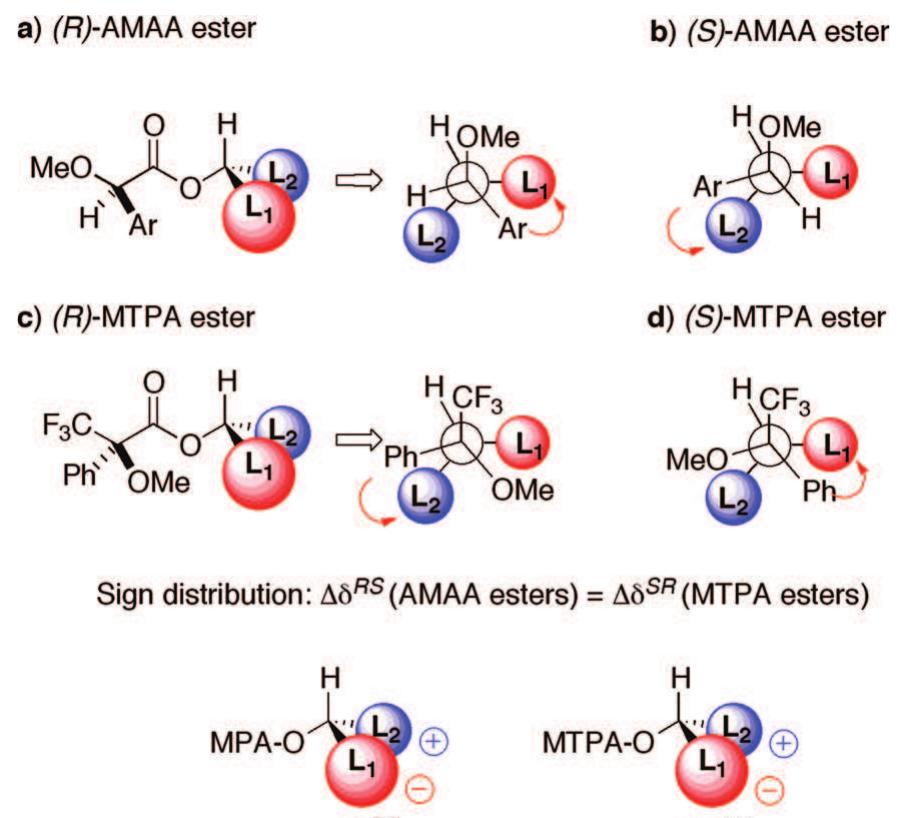 Nmr significant conformers, shielded groups, and ad signs