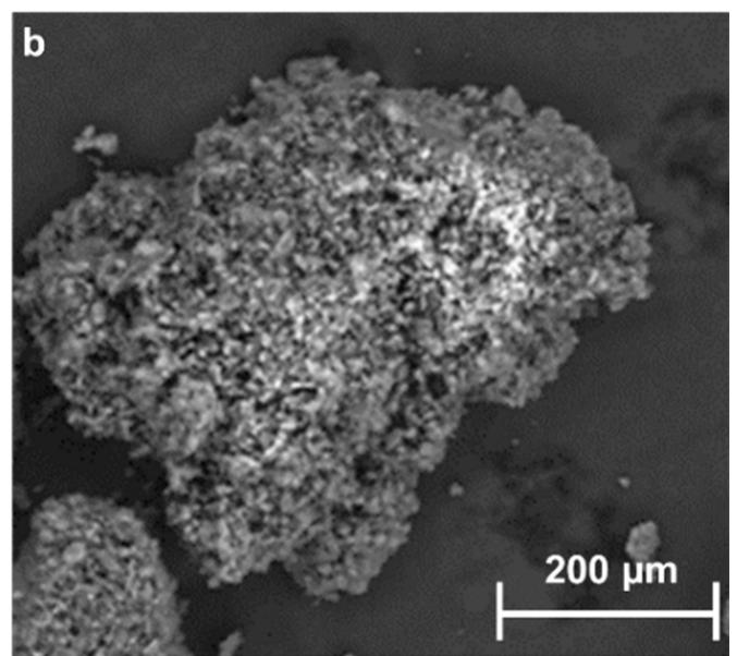 The sem images displaying the morphology of the ems utilized