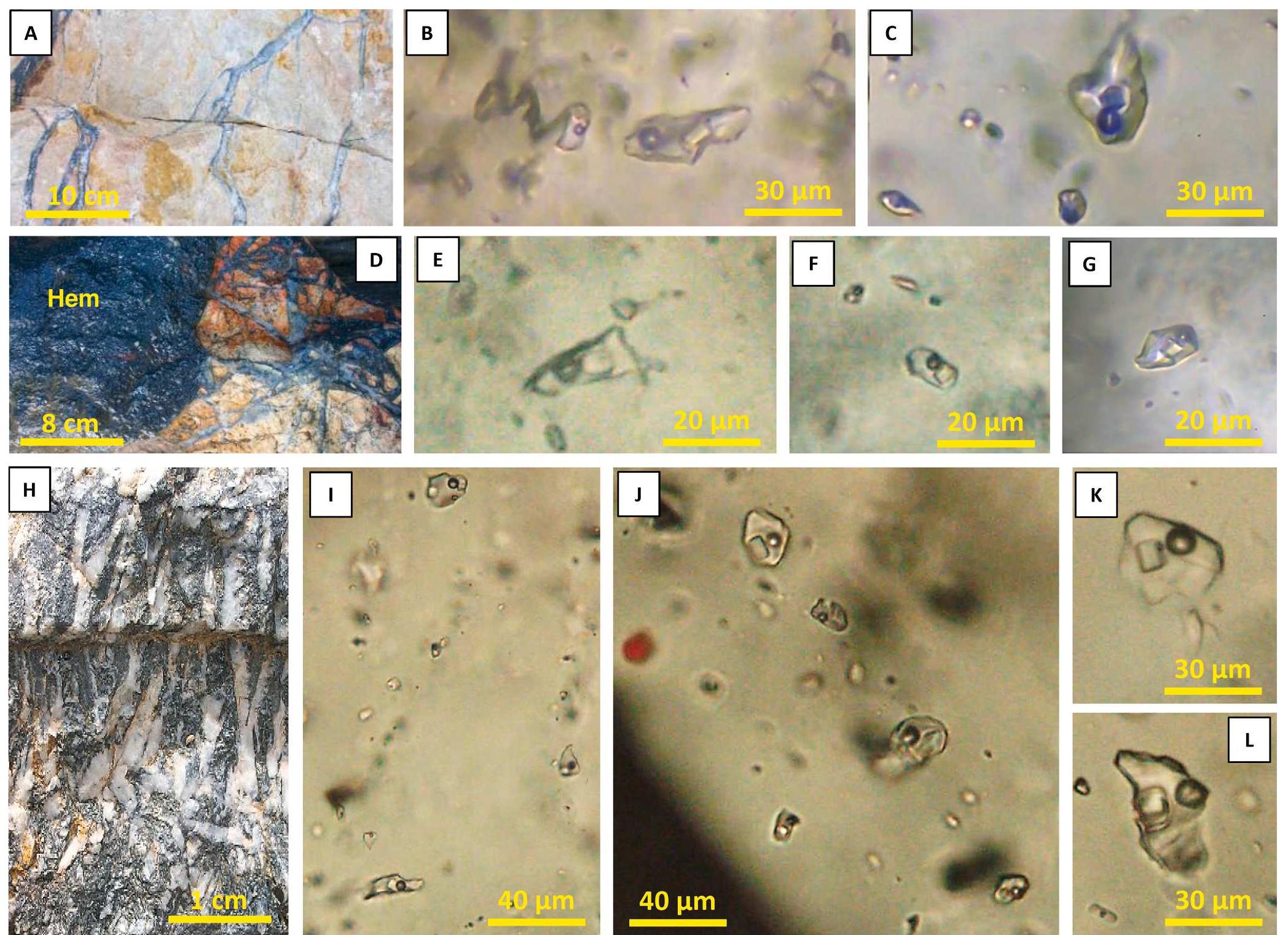 Types of fluid inclusions in quartz from