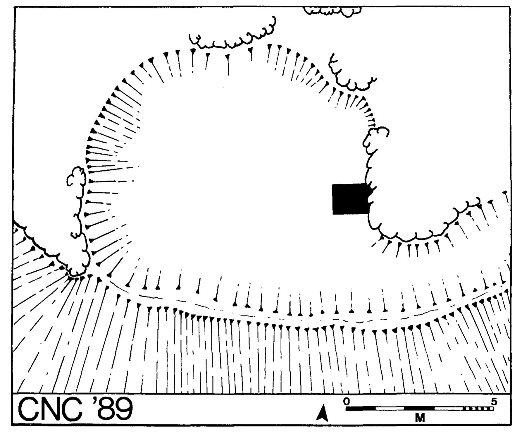 Illus 13 site 2, plan of quarry and location of trench