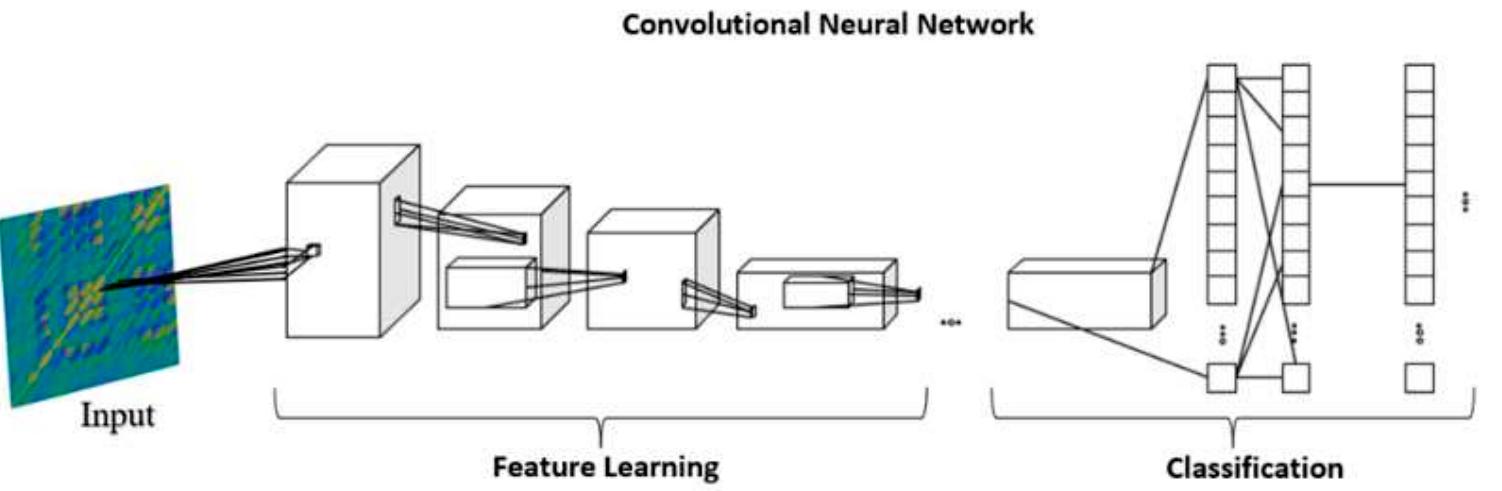 Flowchart of the cnn employed for the classification of the