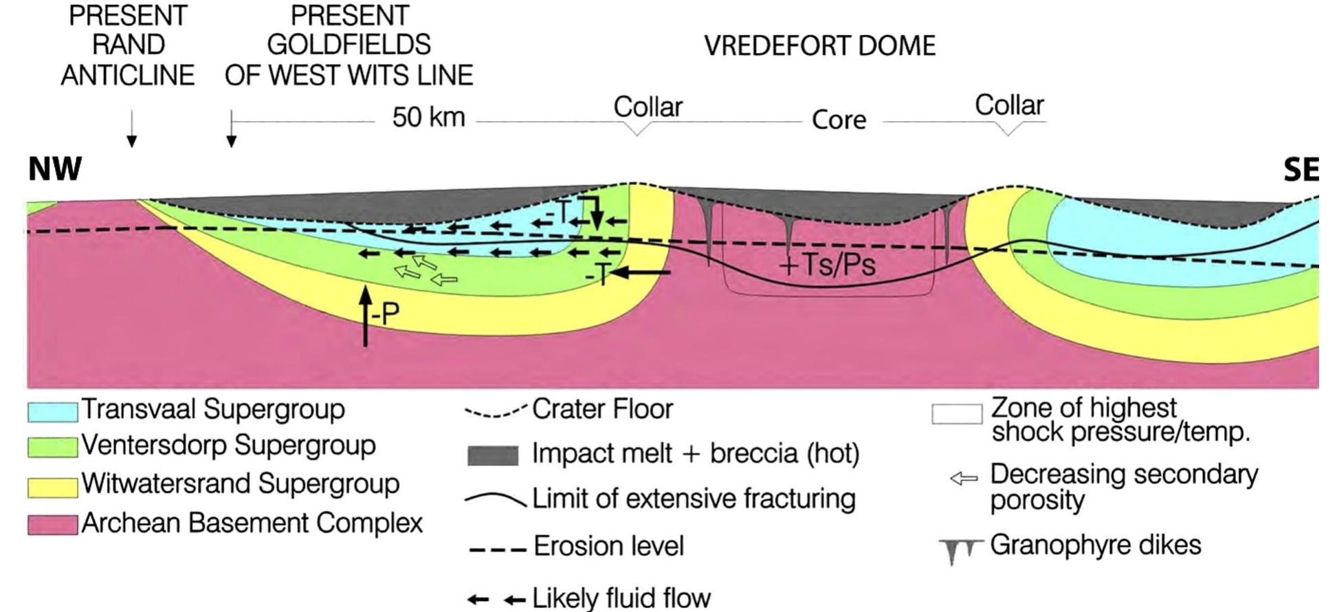 Schematic model for impact-induced fluid flow in the