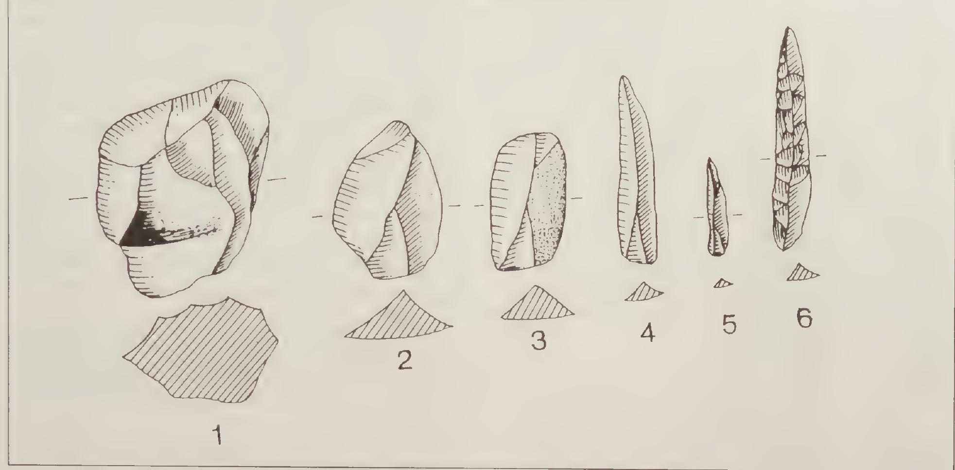 4. basic debitage types (and core). 1, core (note flake