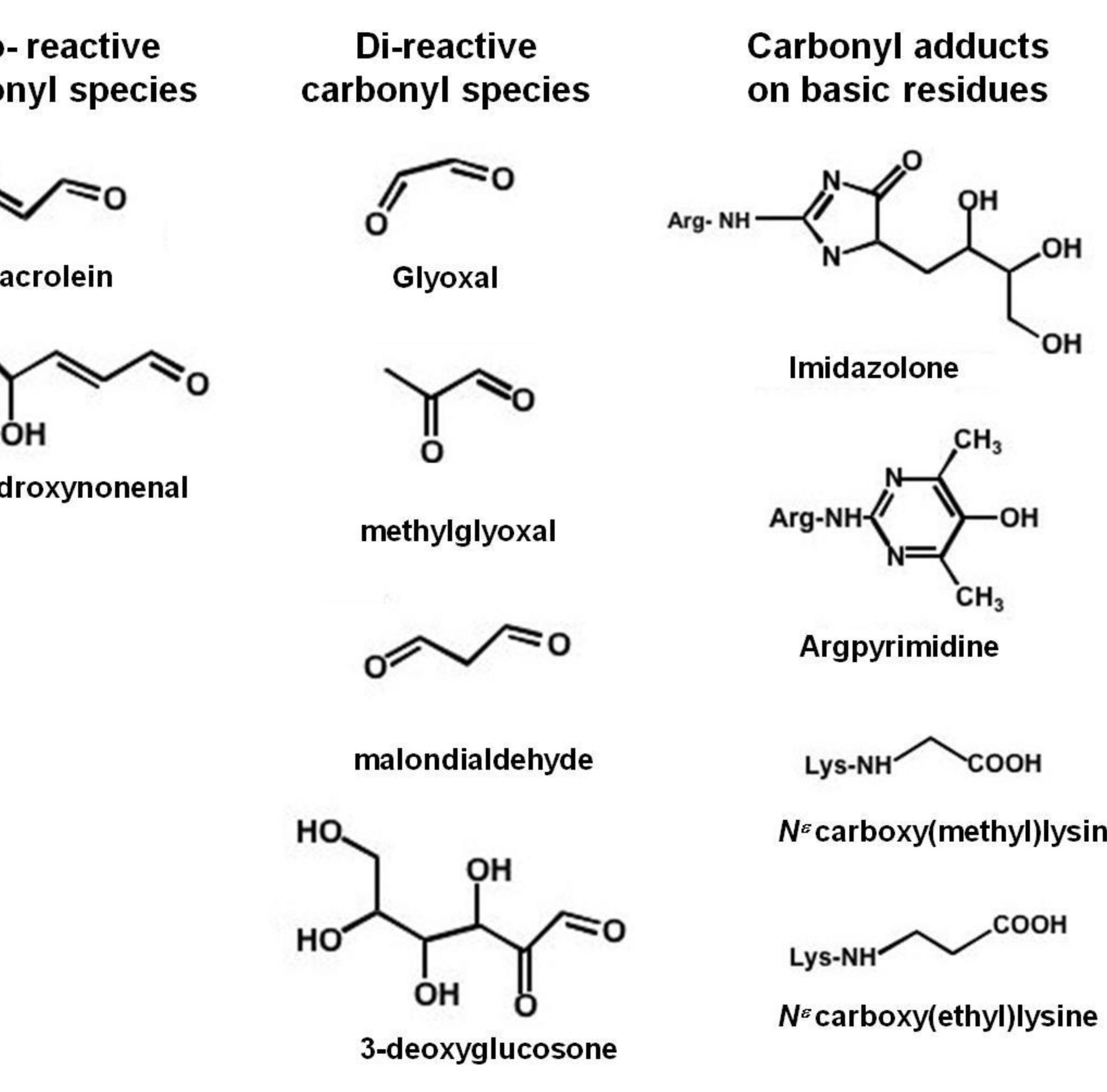 Chemical structures of mono- and di-carbonyl species and