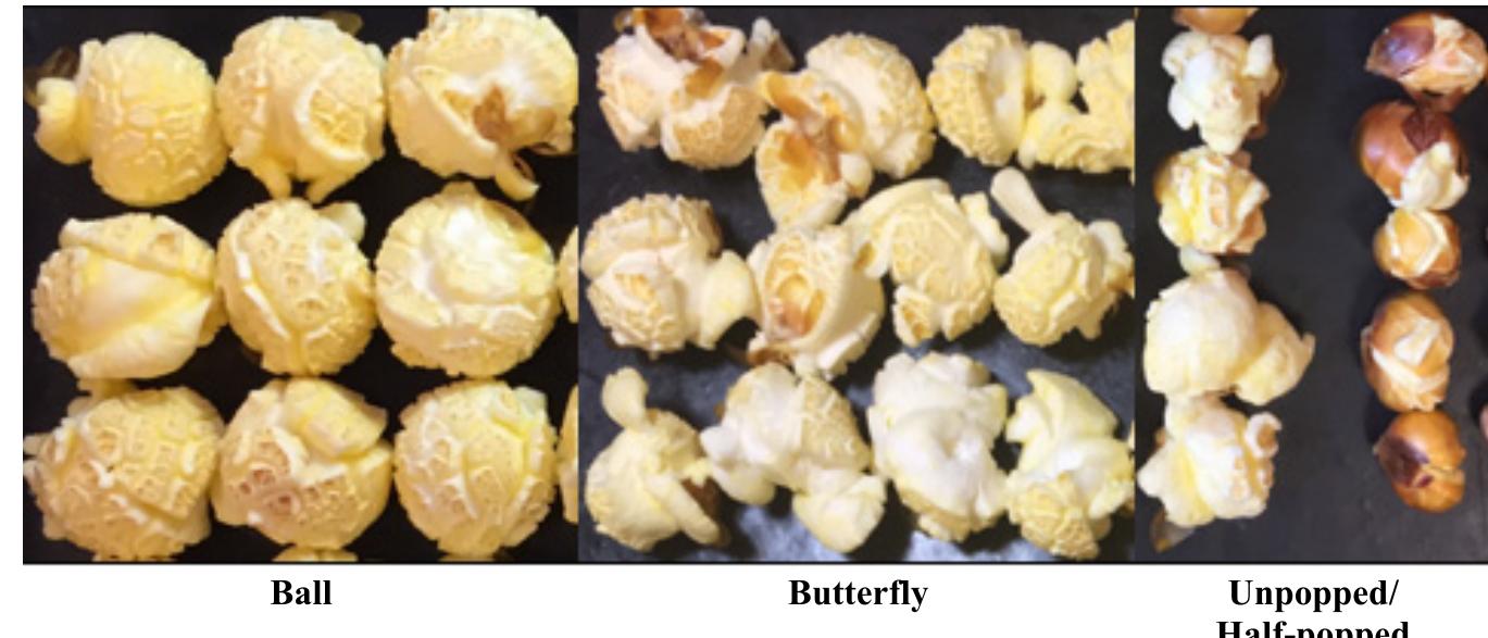 Sample images of ball, butterfly, and unpopped/half-popped