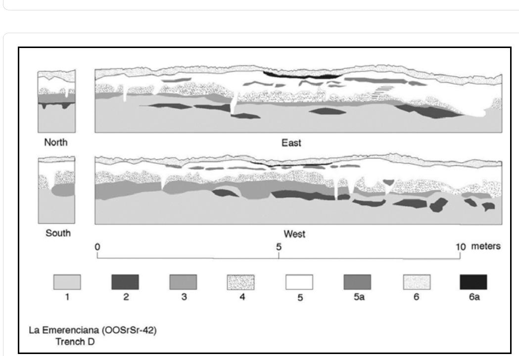 Vertical section of trench c showing the stratigraphic