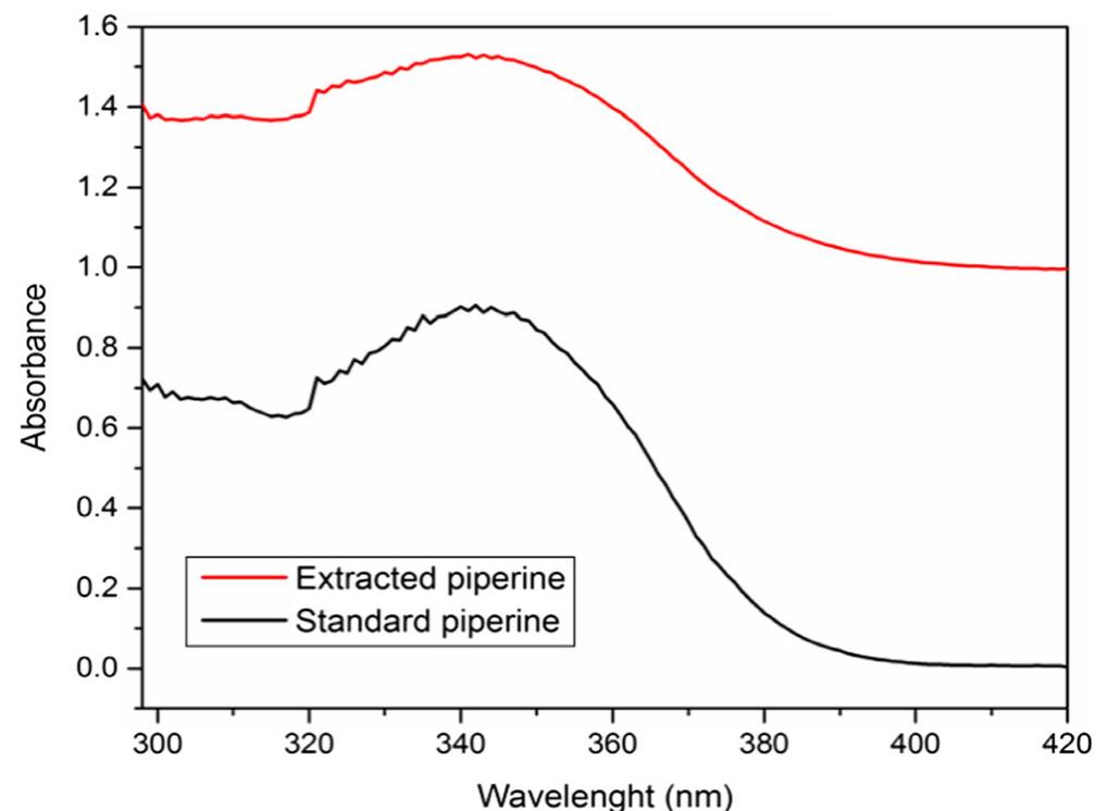 Uv-vis spectra of the standard and extracted piperine