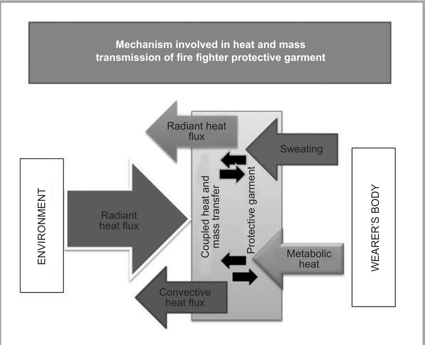 Processes involved in heat and mass transfer of fire fighter